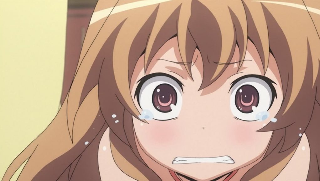 Review: Toradora! Vol. 2 - AnimeNachrichten - Aktuelle News rund um ...