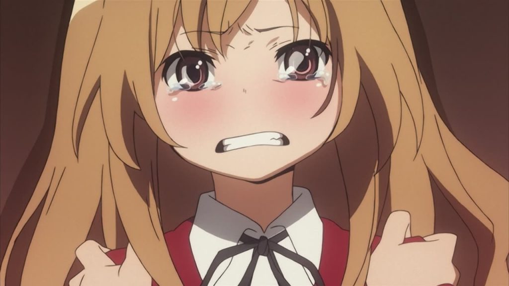 Review: Toradora! Vol. 5 - AnimeNachrichten - Aktuelle News rund um ...