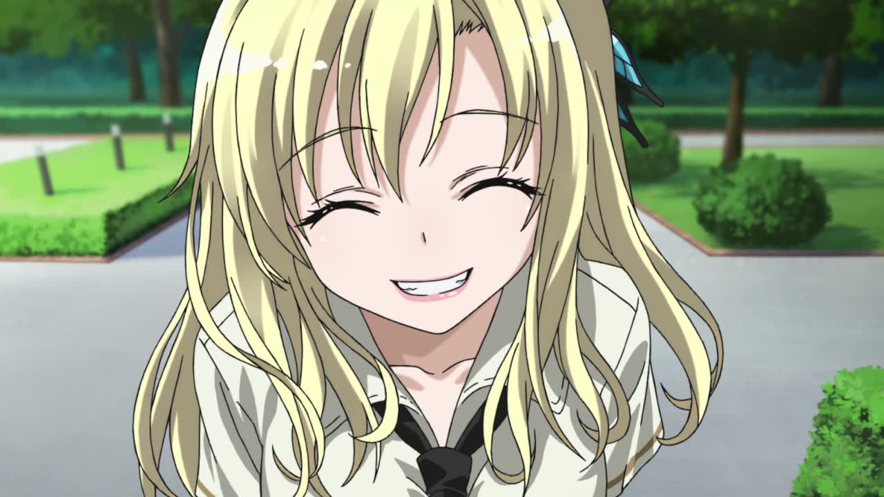 Haganai: AniMoon Publishing bringt die zweite Staffel auf Disc