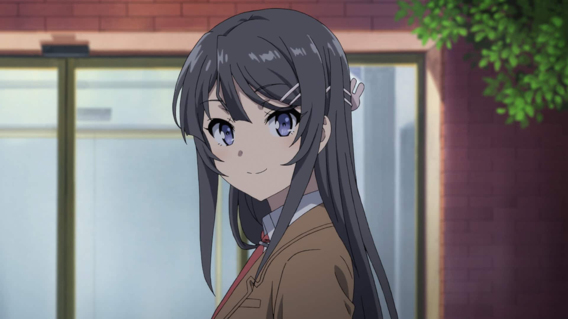 "Rascal Does Not Dream of Bunny Girl Senpai" erhält neues Anime-Projekt