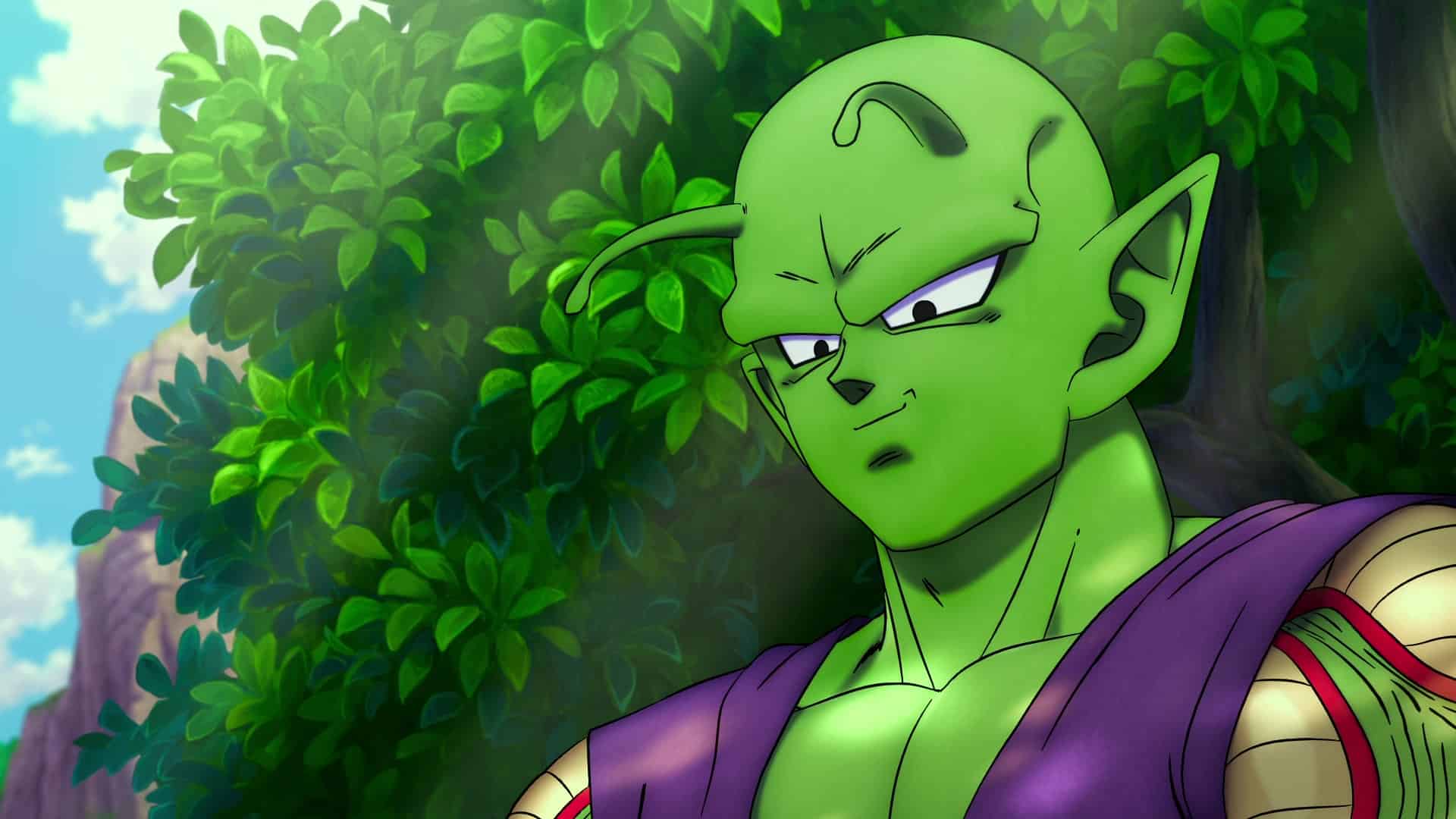 Dessin Animé Piccolo